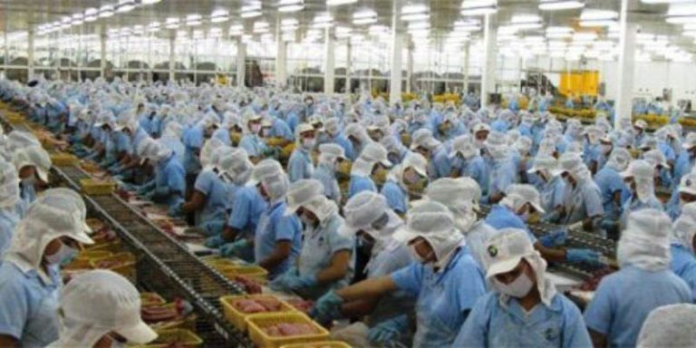 Cổ phiếu ANV - Liệu có còn tiềm năng trong năm 2022 không?