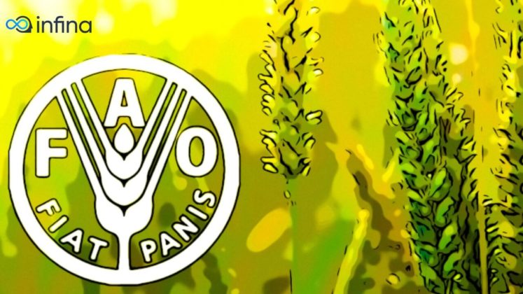 FAO là gì? FAO đóng vai trò thế nào với lương thực thế giới?