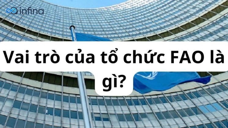 FAO là gì? FAO đóng vai trò thế nào với lương thực thế giới?