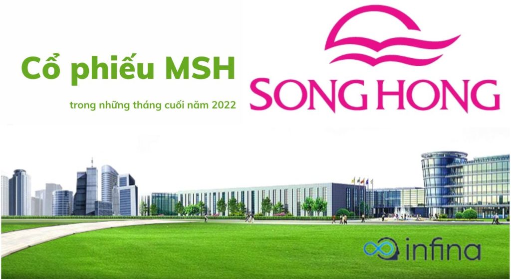 Tiềm năng sinh lời và rủi ro của cổ phiếu MSH trong năm 2022?