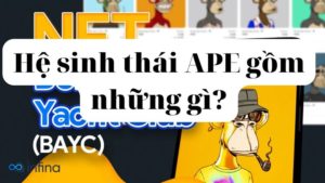 Ape là gì? Lý do vì sao Bored Ape Yacht Club phổ biến